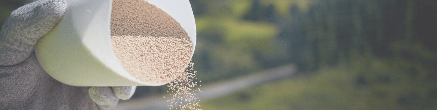 Nuestros productos - Phosphea