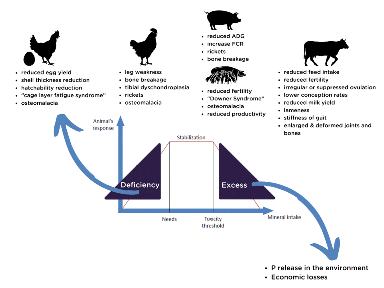 Phosphorus is one of the most important minerals in animal nutrition ...