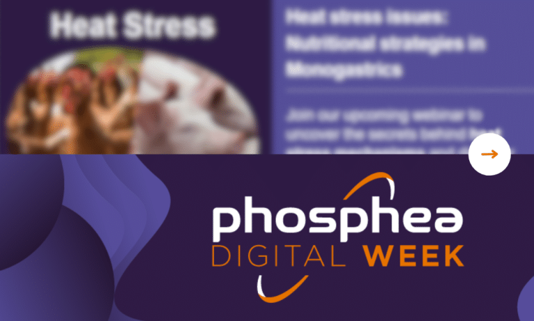 News Archives - Phosphea