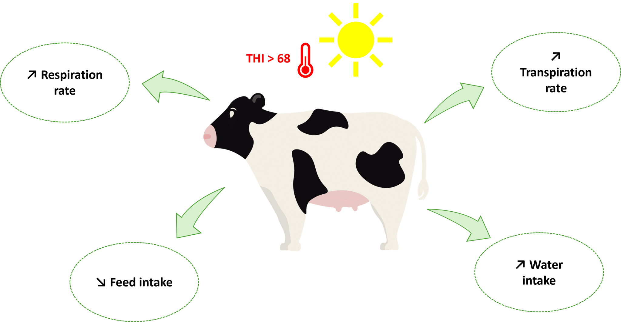 How to manage heat stress in ruminants? - Phosphea