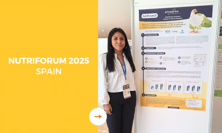 News Archives - Phosphea